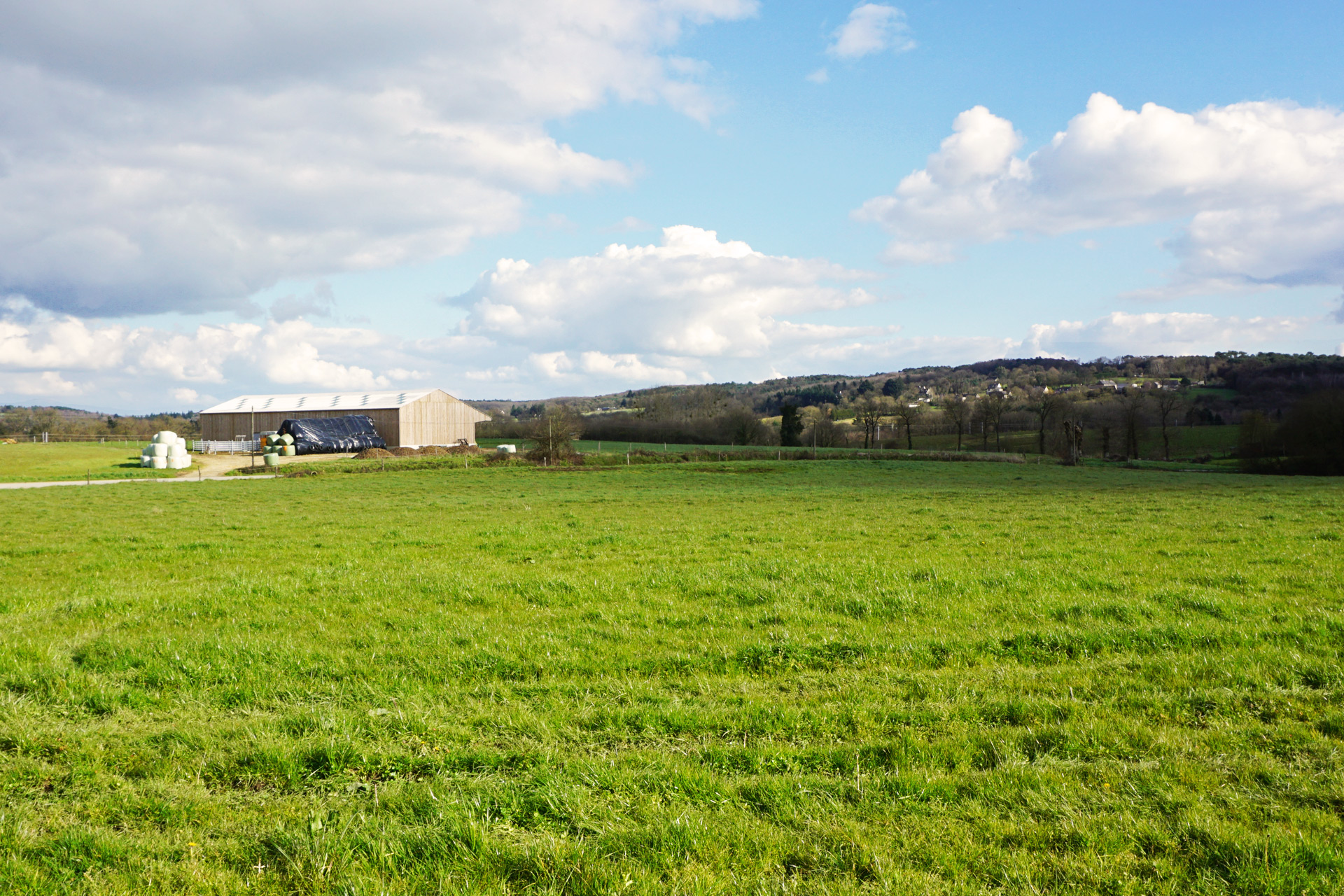 Ferme Lulu la Perrière - Vente directe de viande d'aubrac et pension ...